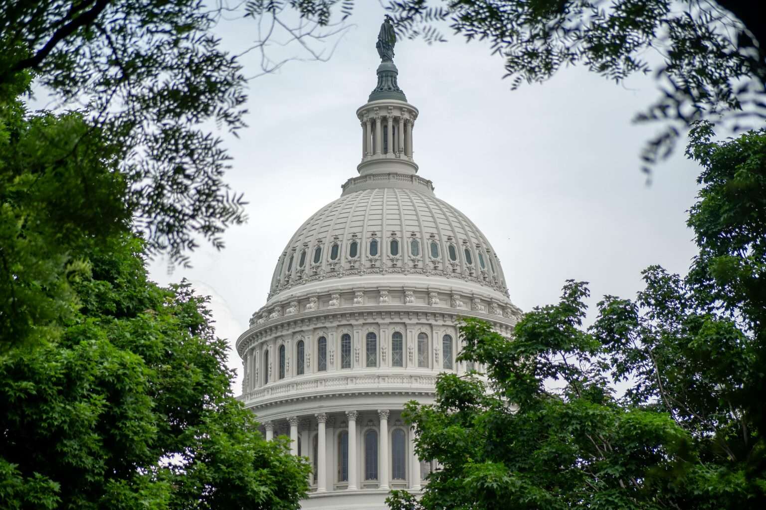 GSA's expanded OASIS+ program offers opportunities for small businesses ...